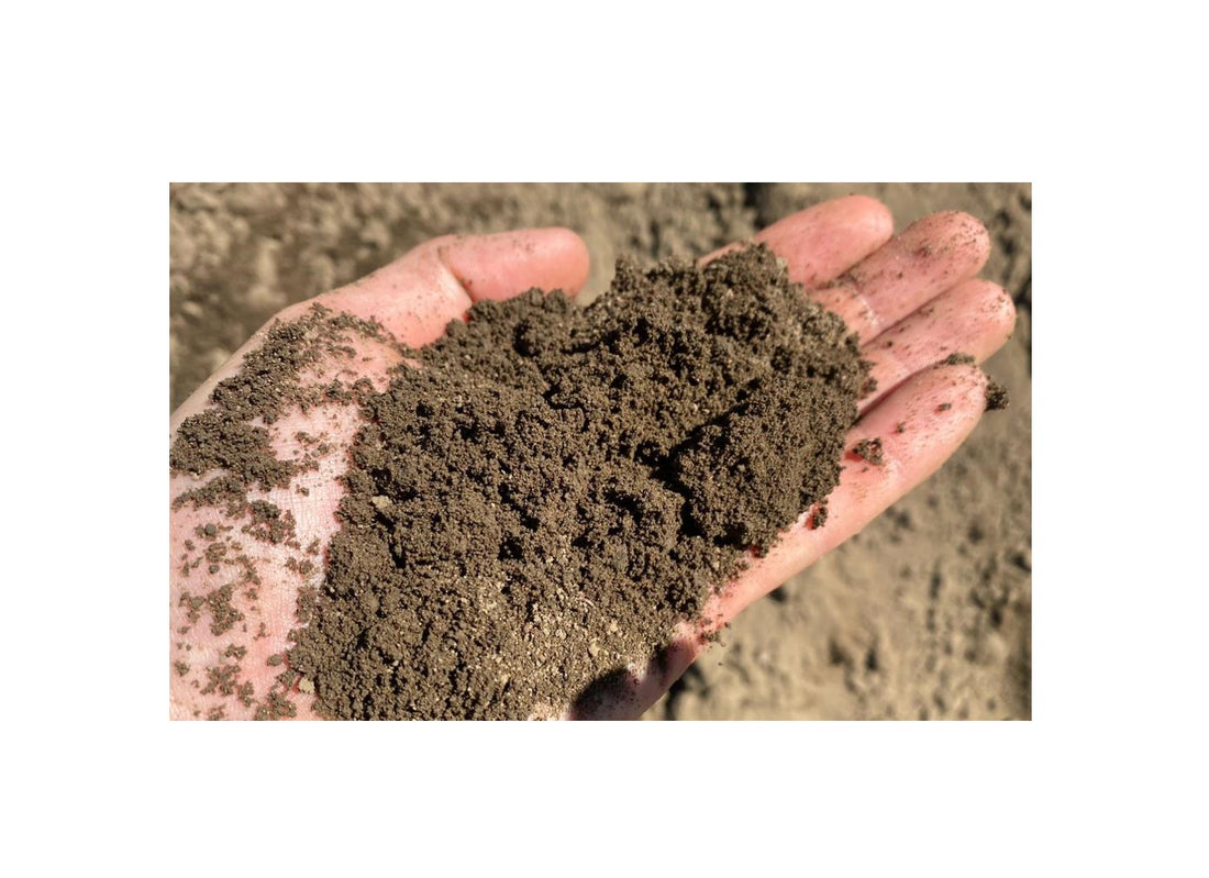 Topsoil – Onsite Supply House